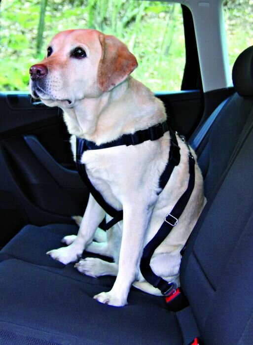 Trixie Автомобильный ремень безопасности для собак 50-70 см (1291)