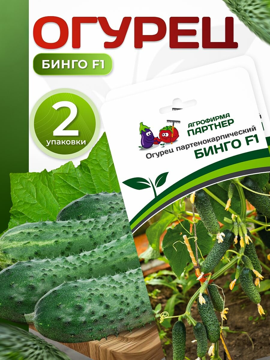 Семена огурцов Бинго (2 упаковки по 5 семян), Агрофирма Партнер