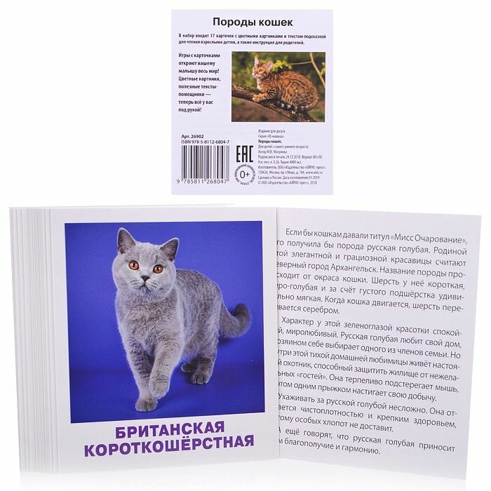Набор карточек Айрис-пресс Умный малыш, Породы кошек для детей, Малунова М. В (9785811268047)