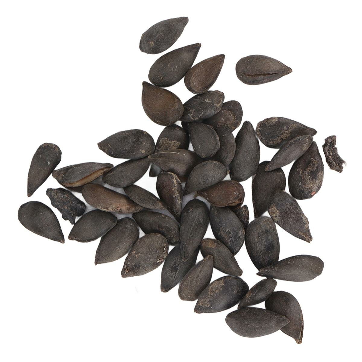 Семена плодовых деревьев бонсай, высокопродуктивные, для полного солнца, 20 семян, семена плодовых растений, легко выращ