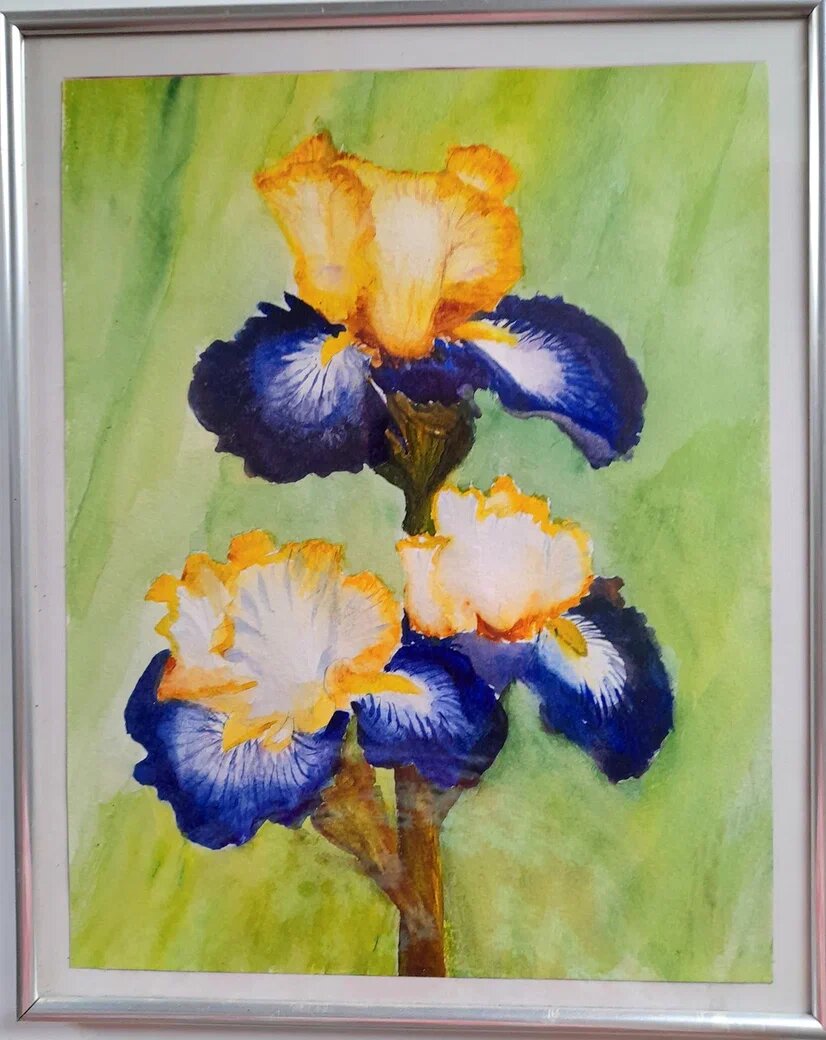Картина Ирисы от Бутко Людмилы, ручной работы, бумажная основа, 31x25 см,