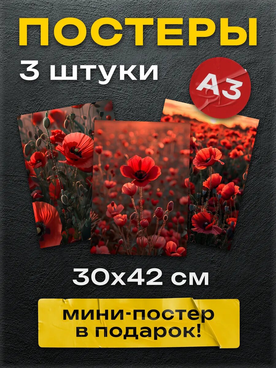 Постеры на стену интерьерные Маковое поле