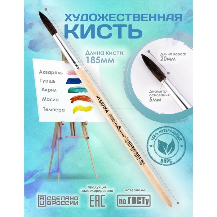 Кисть для рисования, белка, № 5, Calligrata, круглая, деревянная ручка, 4 шт.