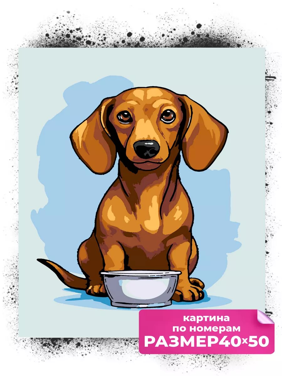 Картина по номерам Такса 40х50 см