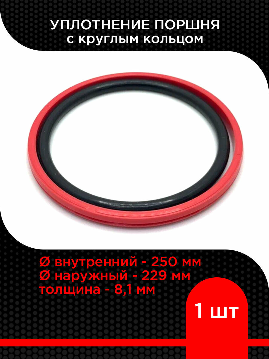 Уплотнение поршня PTFE+NBR (BSF/PGR/K17) 250х229х8,1 супермаркет