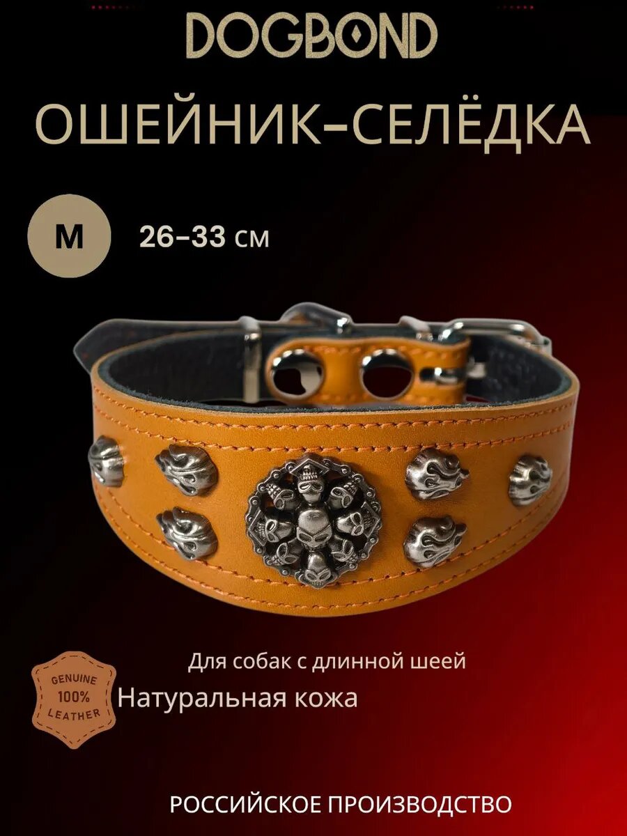 Dogbond ошейник-селедка для малых и средних пород