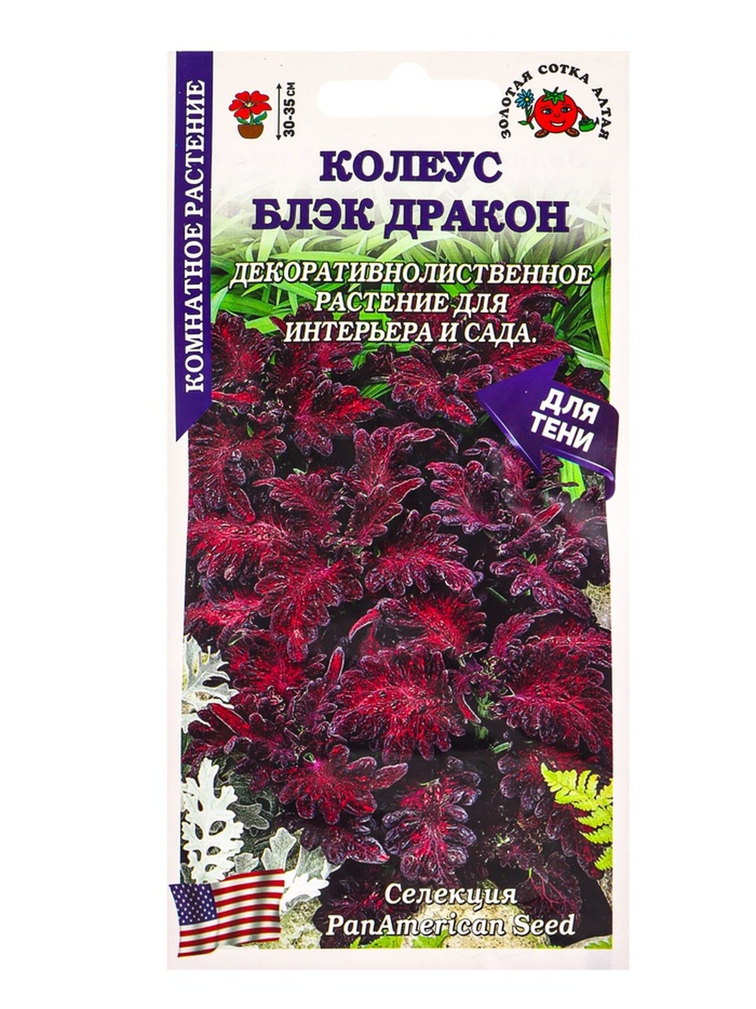 Семена Ком: Колеус Блэк Дракон /Сотка/ 10шт/ бордо. h-35см PanAm/*500 10942413