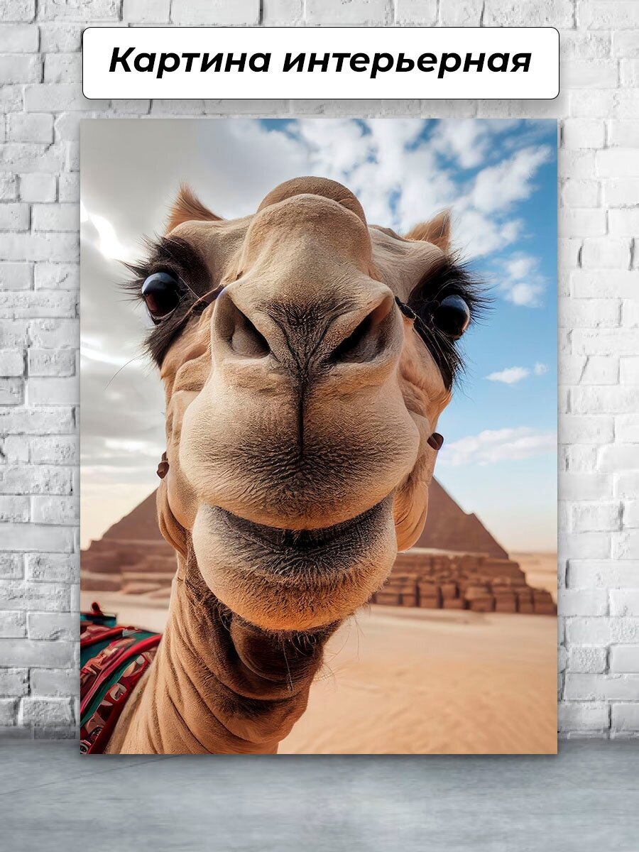Картины для интерьера 40х60 Верблюд Пустыня