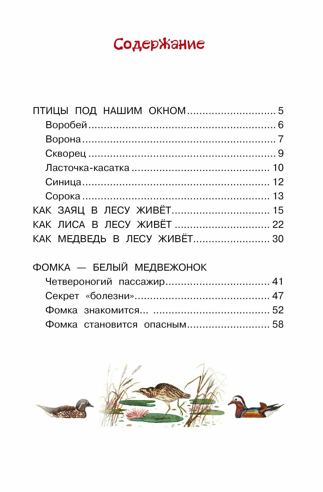 Фомка - белый медвежонок — фото 1