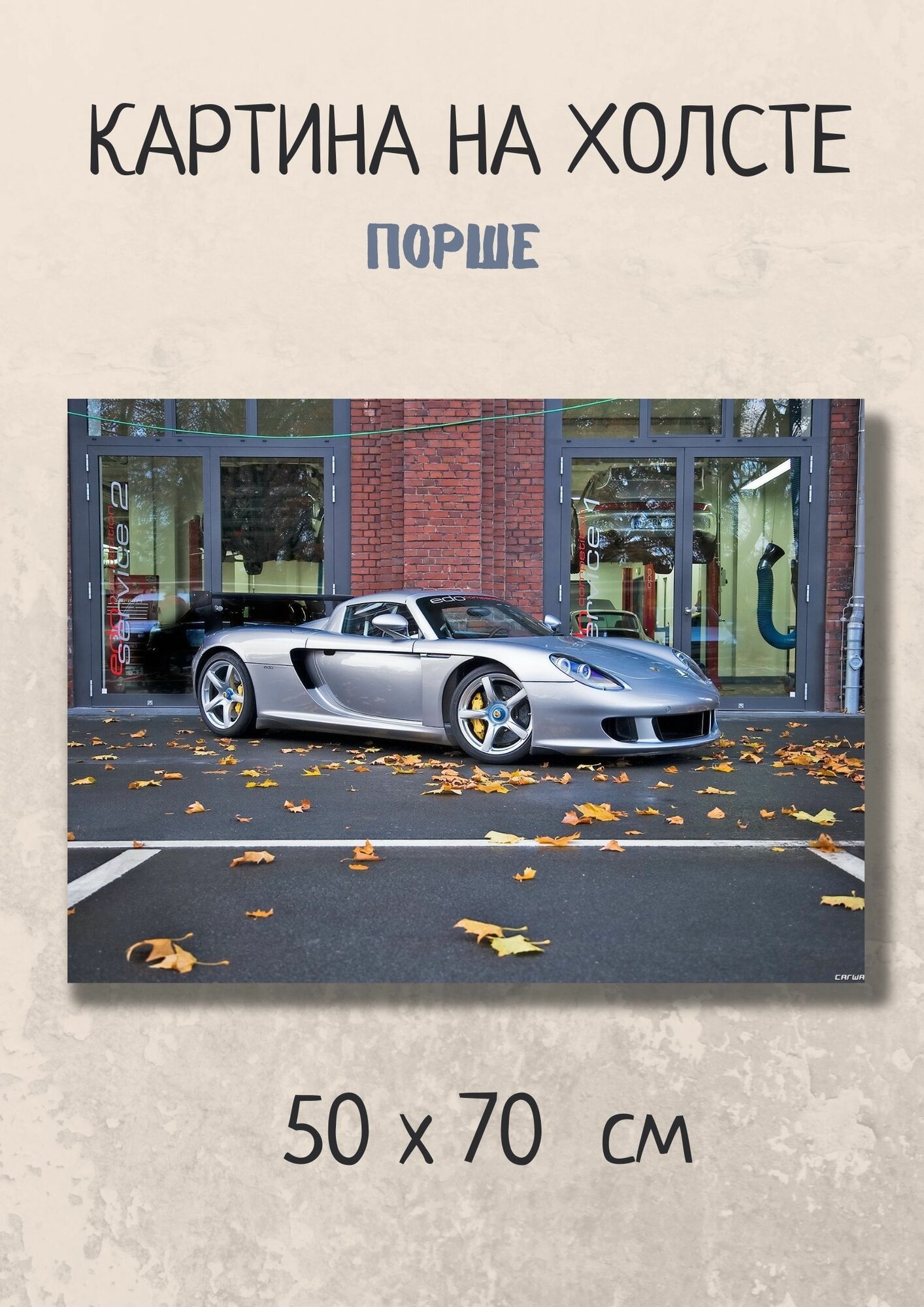 ФотоКартина со спортивным автомобилем "PorscheCarrera GT"