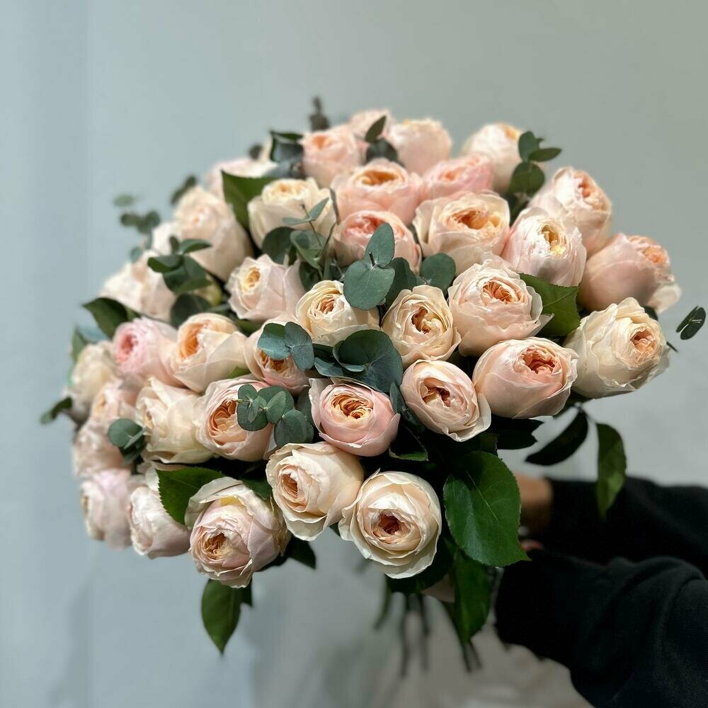 Букет Protea "Пионы", XL, 51 роза, аквабокс, ленточный бант, бежевый