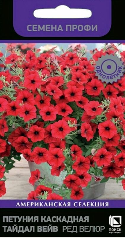 Петуния каскадная Тайдал Вейв Ред Велюр ( 5 семян)Самый высокий гибрид среди каскадных петуний!