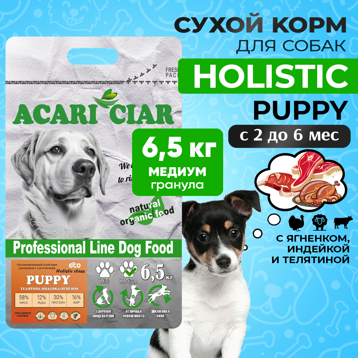 Сухой корм для собак ACARI CIAR PUPPY 6,5 кг MEDIUM гранула для щенков