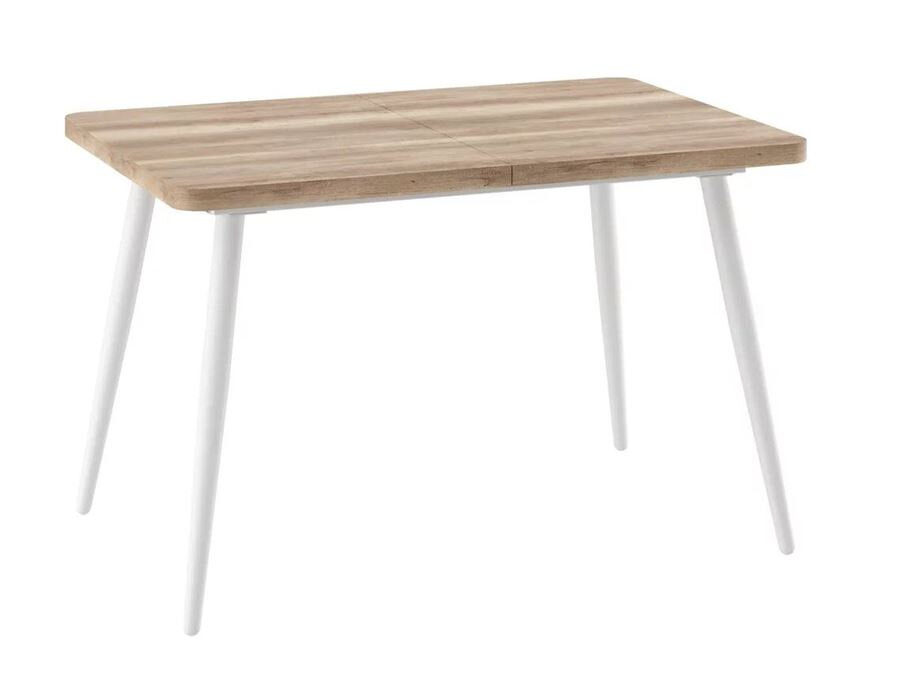 Стол раздвижной BORG RADIAL-120(160)х80 (Дуб каньон/Белый)