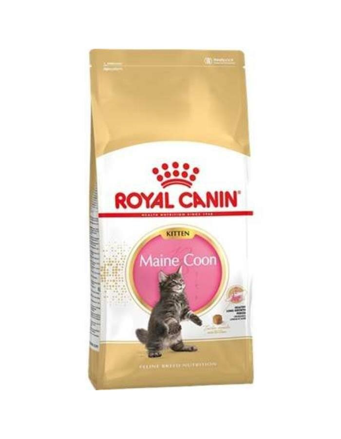 Royal Canin Kitten Main Coon 36 сухой корм для котят крупных пород 4кг