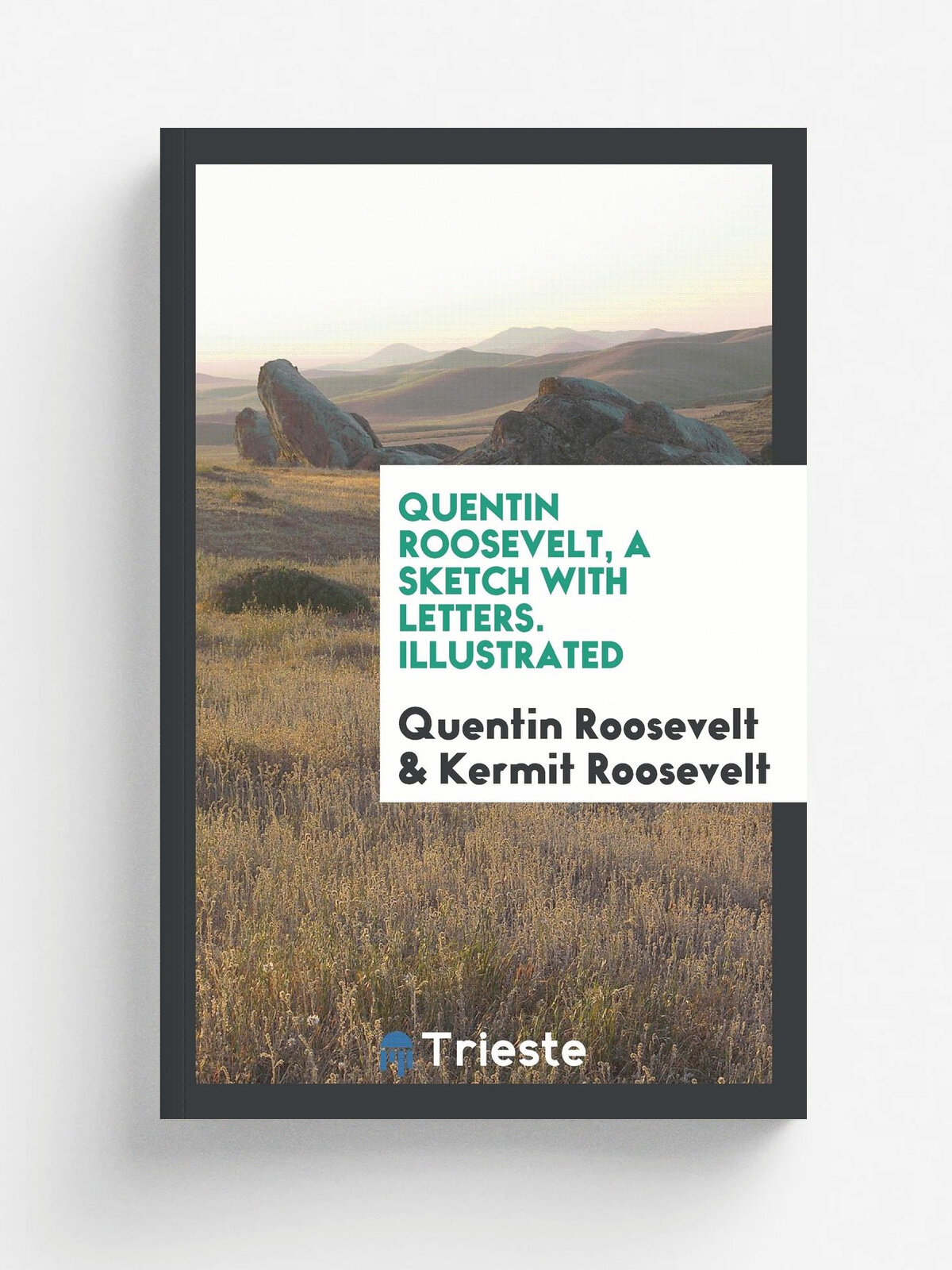 Quentin Roosevelt; a sketch with letters