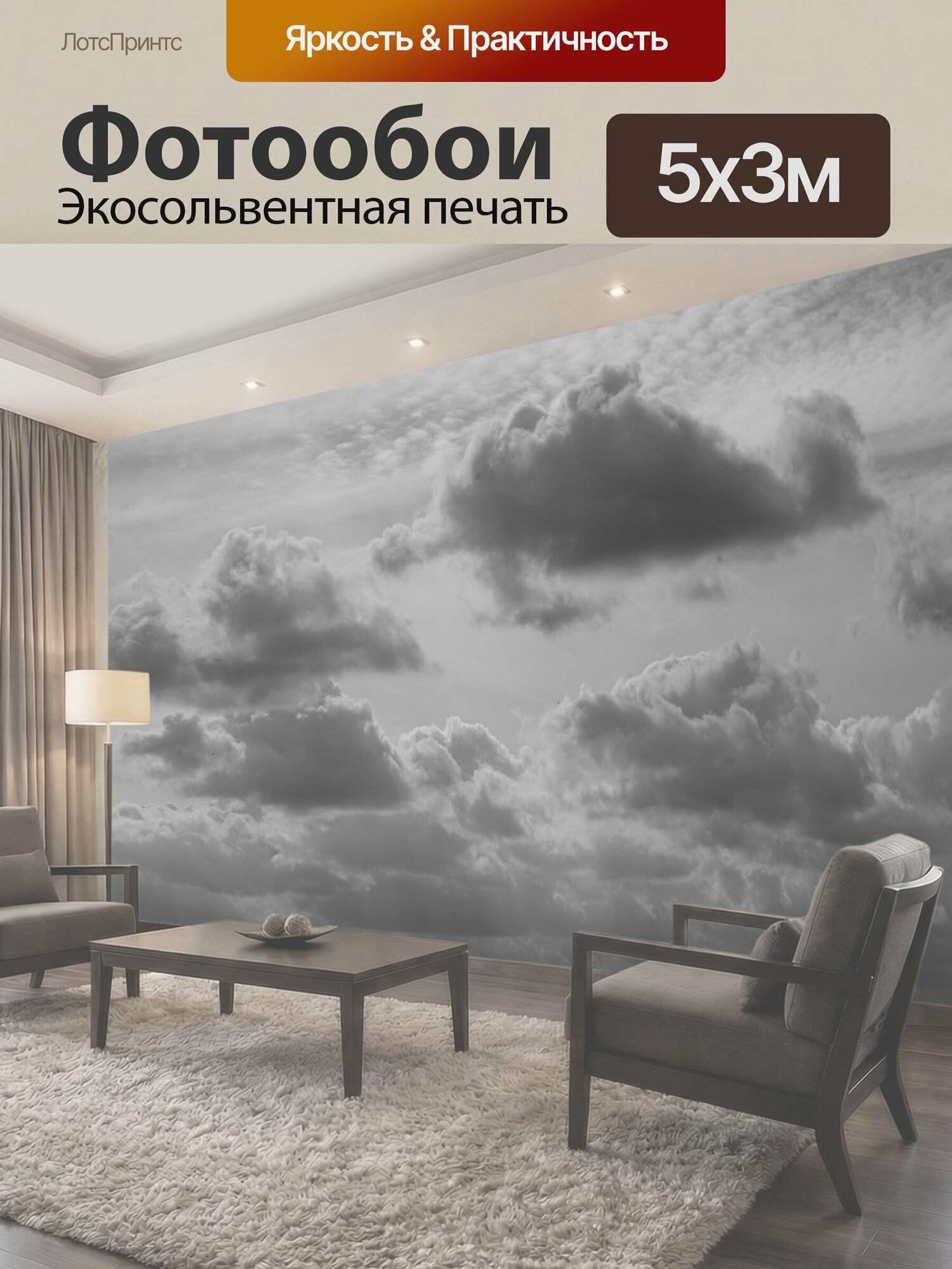 Фотообои "Облака, небеса, черно-белый" 500x300 см. экосольвентная печать