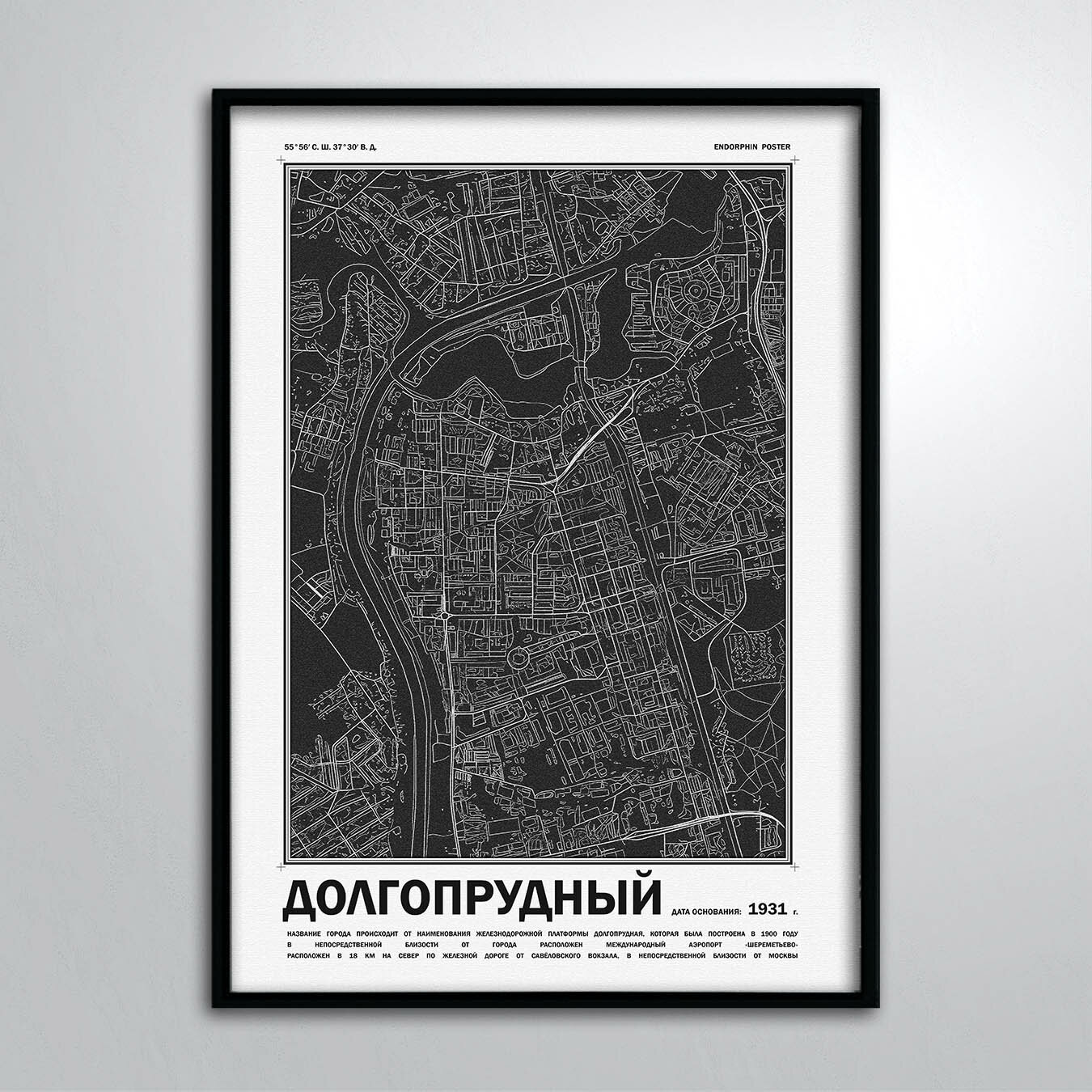 Постер без рамы/Интерьерный плакат/Карта города Долгопрудный (А2/420х594)