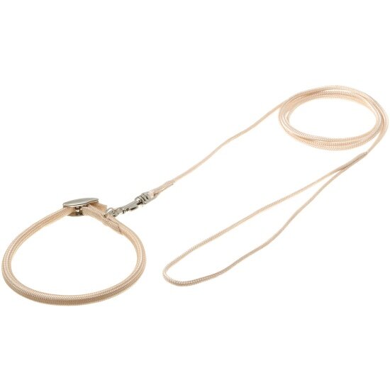 Комплект V.i.pet 6мм х 30см (23-26 см) ошейник + поводок 3мм х 1,2м слоновая кость