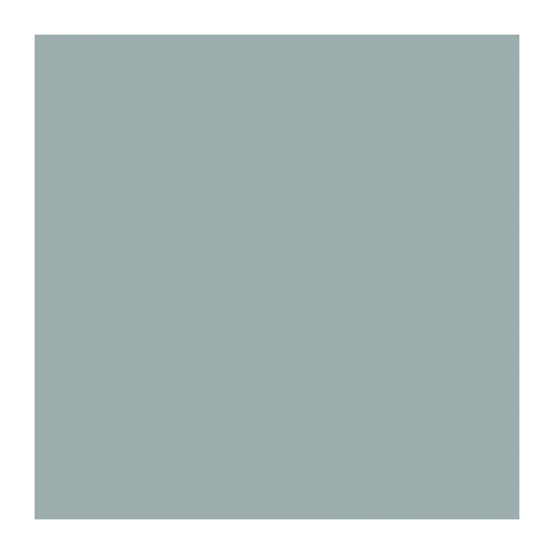 E-Image 21 Pursuit grey Background paper Фон бумажный, серый 2,72 х 10,0 метров
