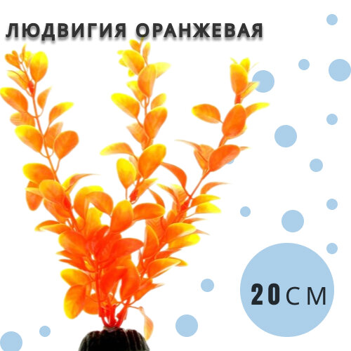 Искусственное растение BARBUS "Людвигия оранжевая", для аквариума, пластик, высота 20 см