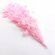 Розовый букет из перьев, pink feathers