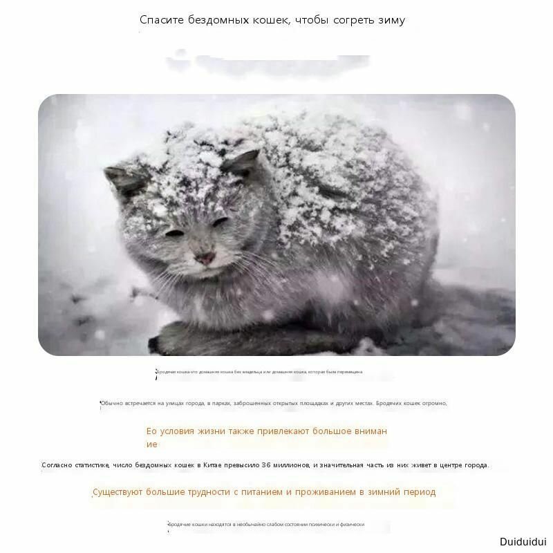 Зимний уличный домик для кошек, уличный приют для щенков 42*42*42cm