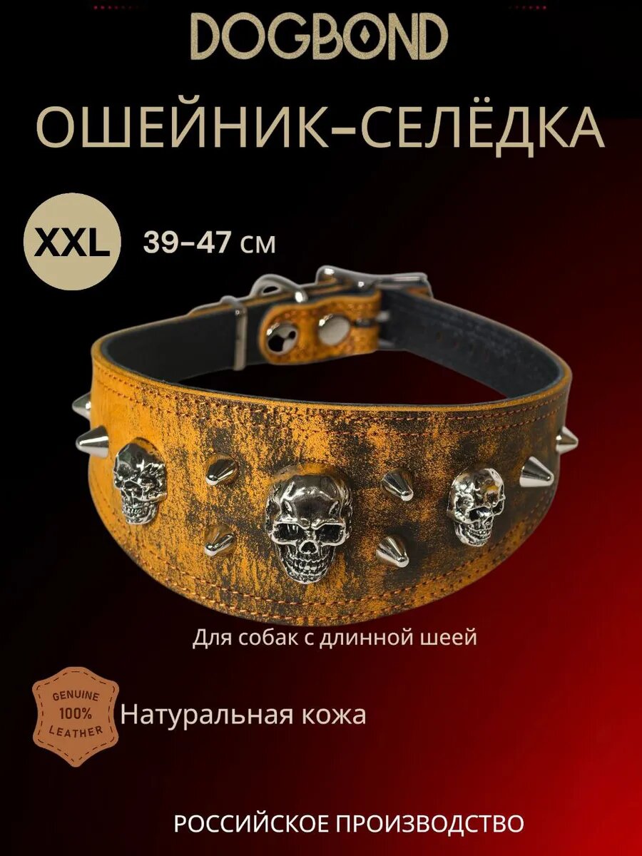 Dogbond ошейник-селедка для малых и средних пород