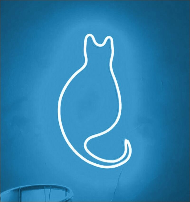 Неоновый светильник Elmarto Кот, 50х29 см, бирюзовый