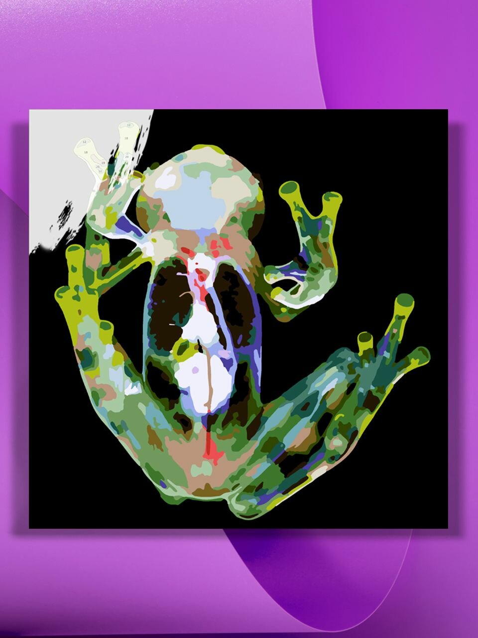 Картина по номерам на холсте Лягушка внутренний мир, 40 х 40 см