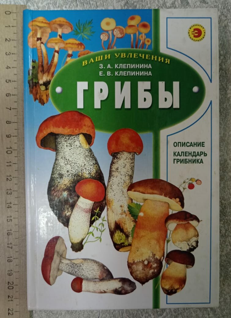 Грибы
