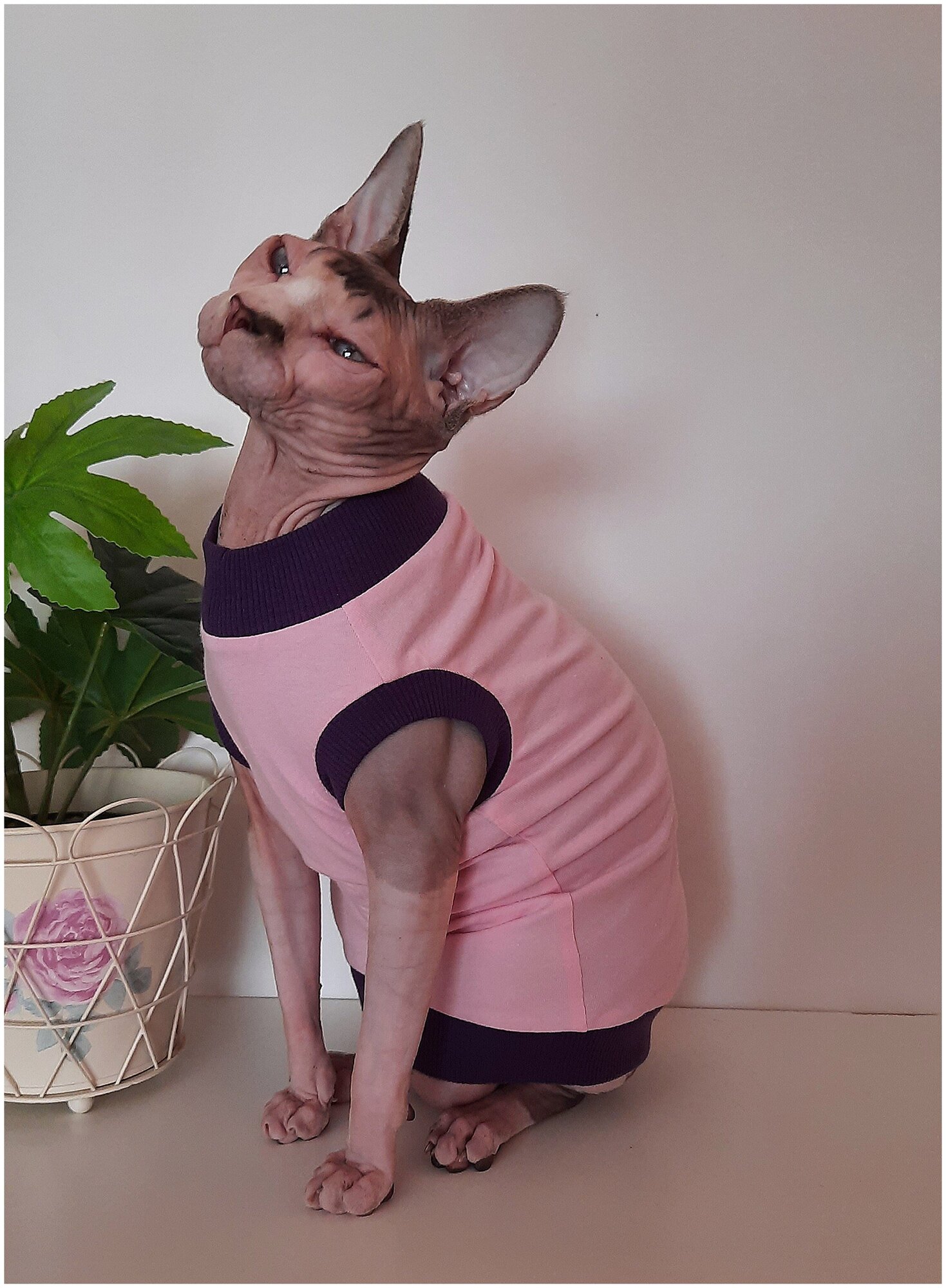 Футболка для кошек, размер 40 (длина спины 40см), цвет розовый / майка футболка для кошек сфинкс /одежда для животных / одежда для кошек сфинкс