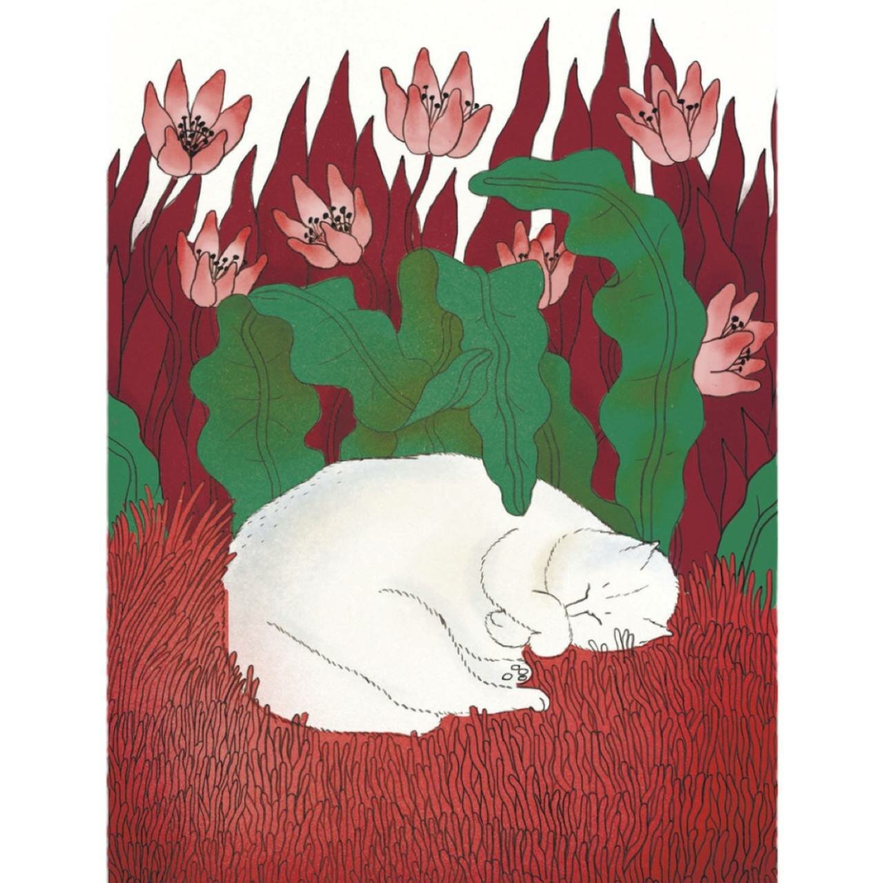 Обложка для паспорта