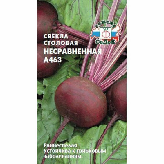 Семена свеклы СеДеК "Несравненная А-463", раннеспелые, 3г