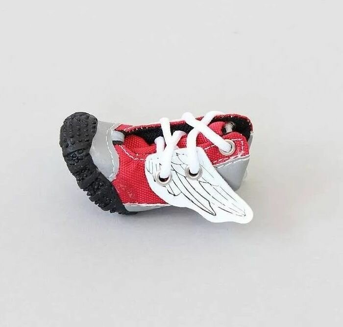 Ботинки для животных, обувь для собак