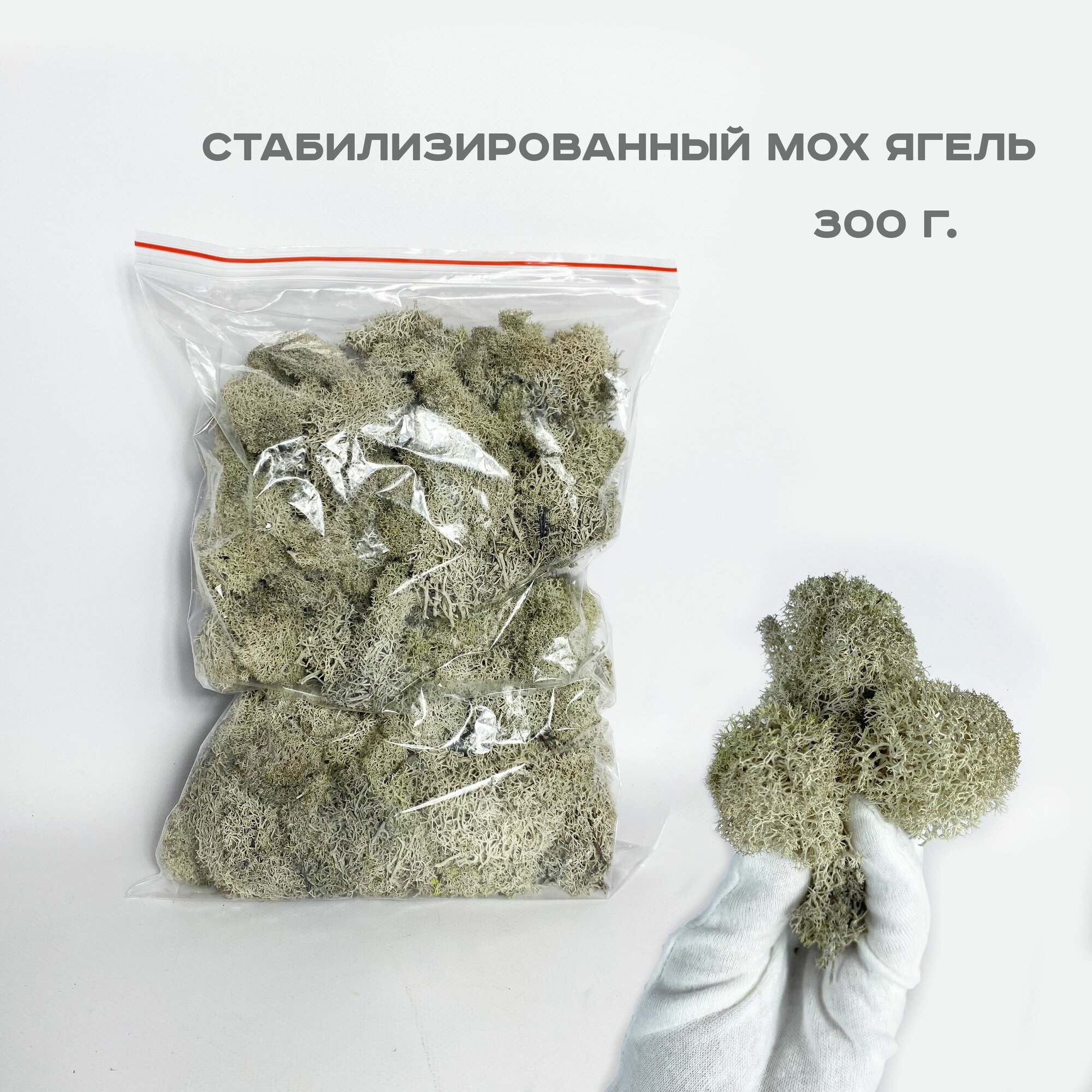 Стабилизированный мох ягель для декора, цвет бежевый, 300г в зип-пакете