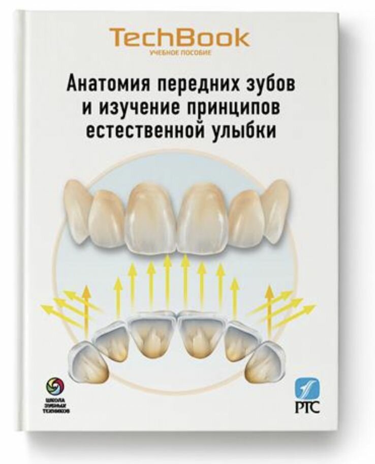 Анатомия передних зубов и изучение принципов естественной улыбки