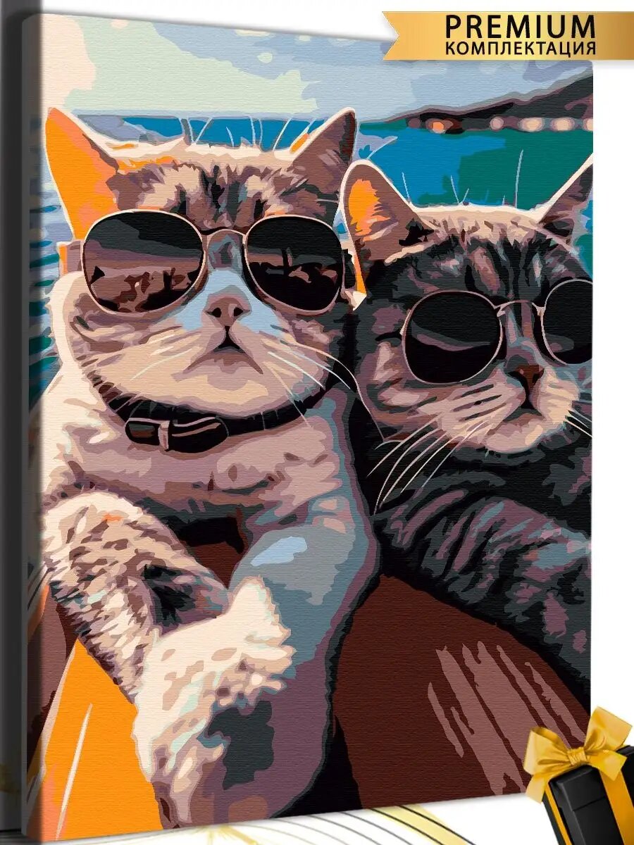 Коты в очках