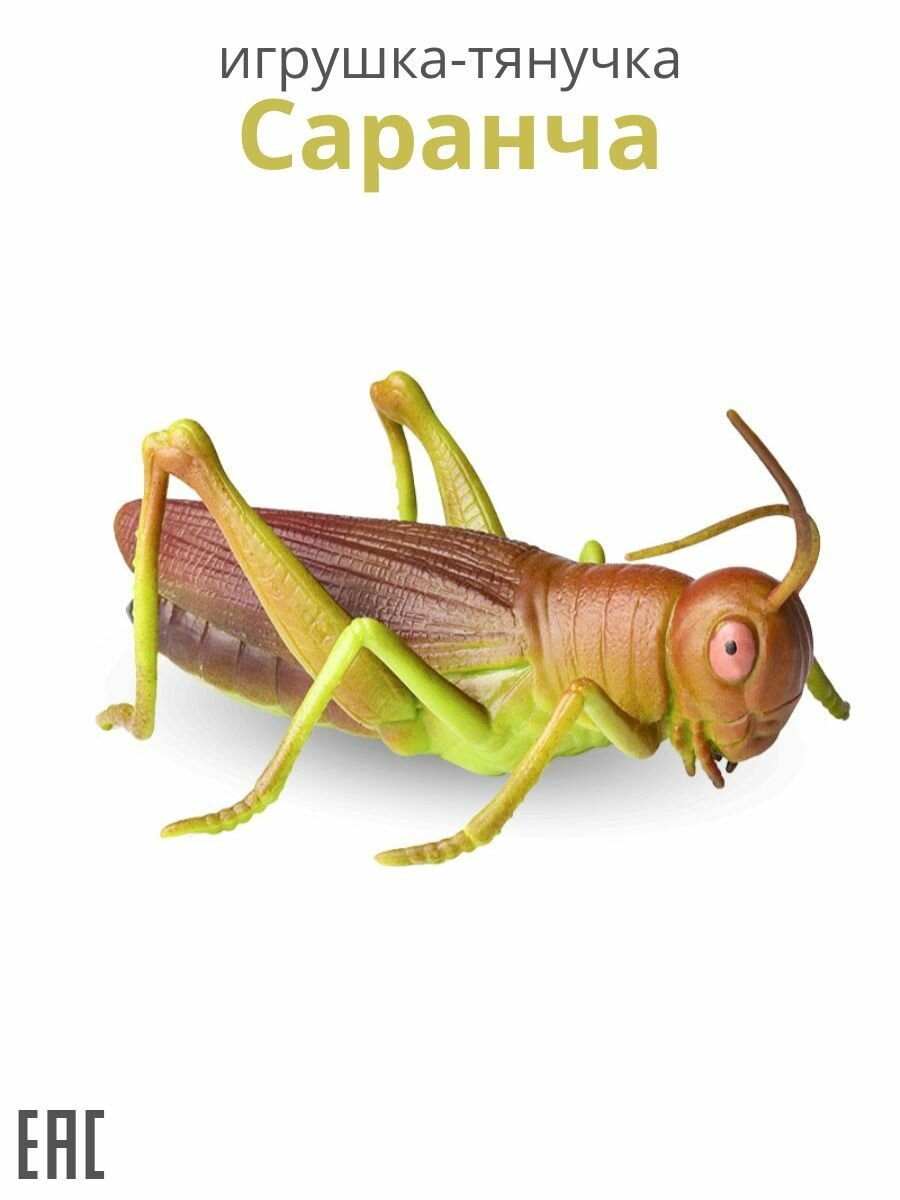 Саранча игрушка тянучка / Тянучка антистресс