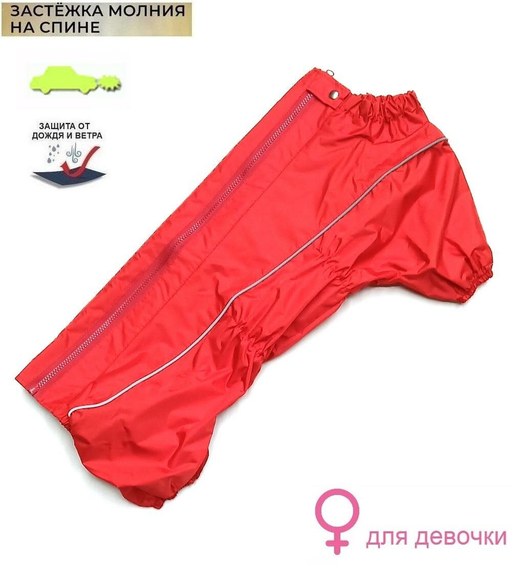 Комбинезон-дождевик для таксы, корги. Девочка. Красный (50т-2 девочка)