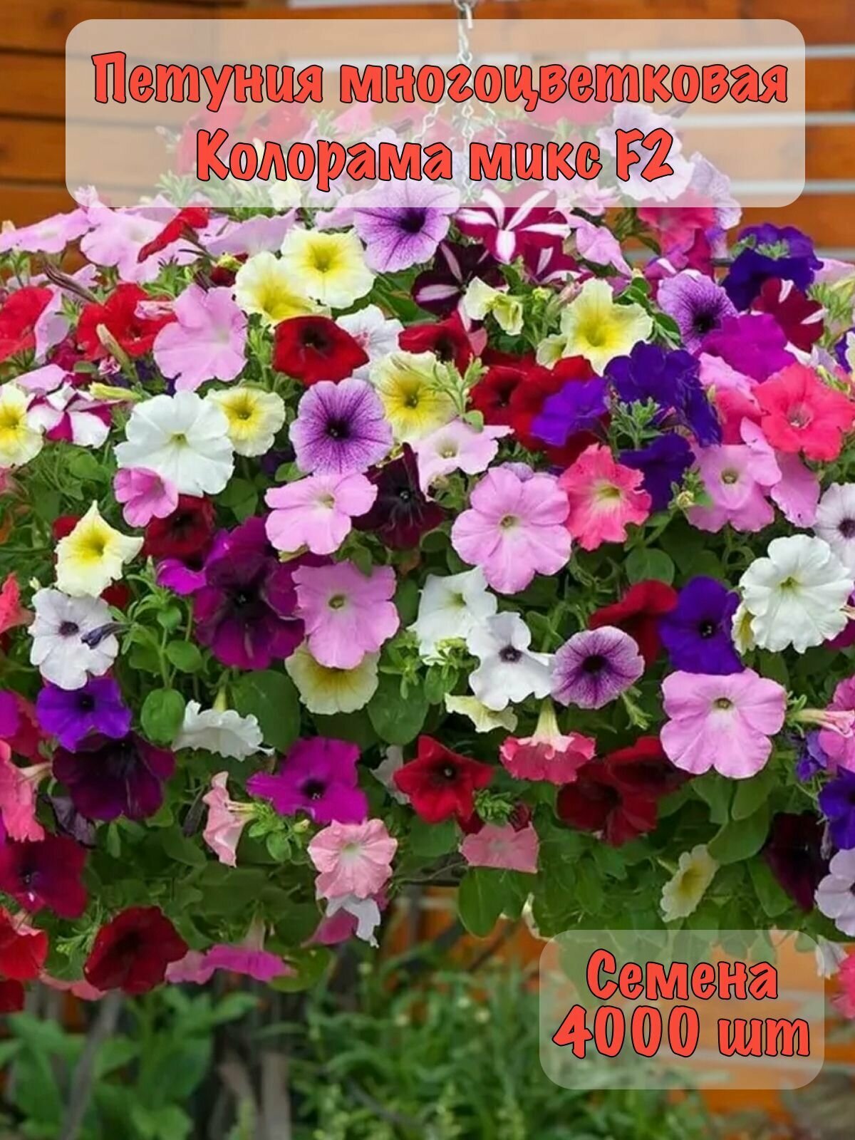 Семена 4000 шт Петуния многоцветковая Колорама микс