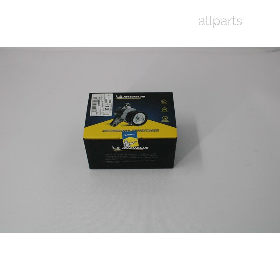 MICHELIN FMMT05110 ролик приводного ремня