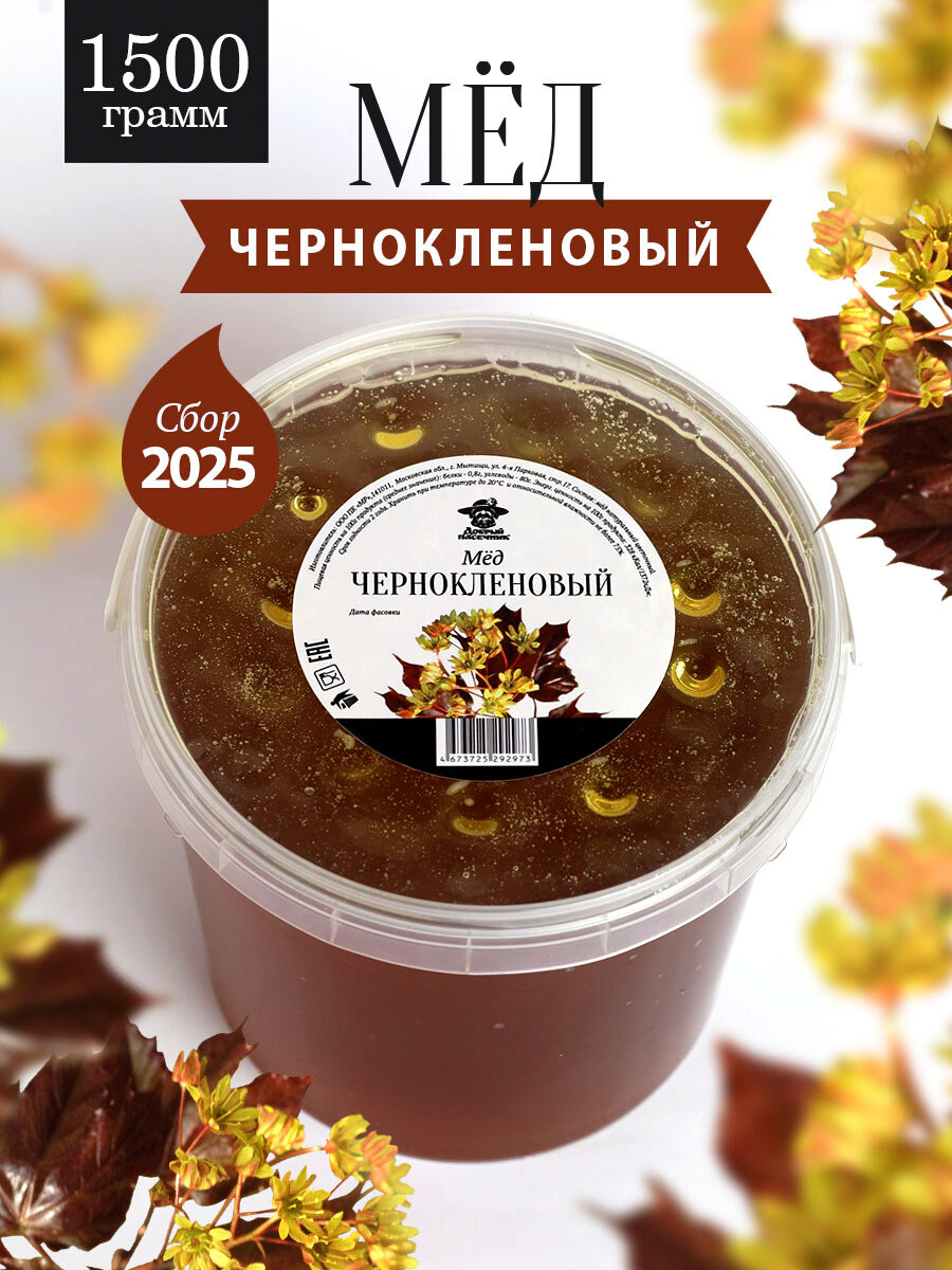 Чернокленовый мед 1500 г, натуральный мед, нового урожая, фермерский продукт, полезный подарок