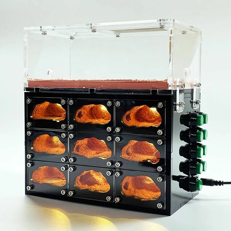 Муравьиная ферма с подсветкой Акриловый формикарий с ареной и ходами