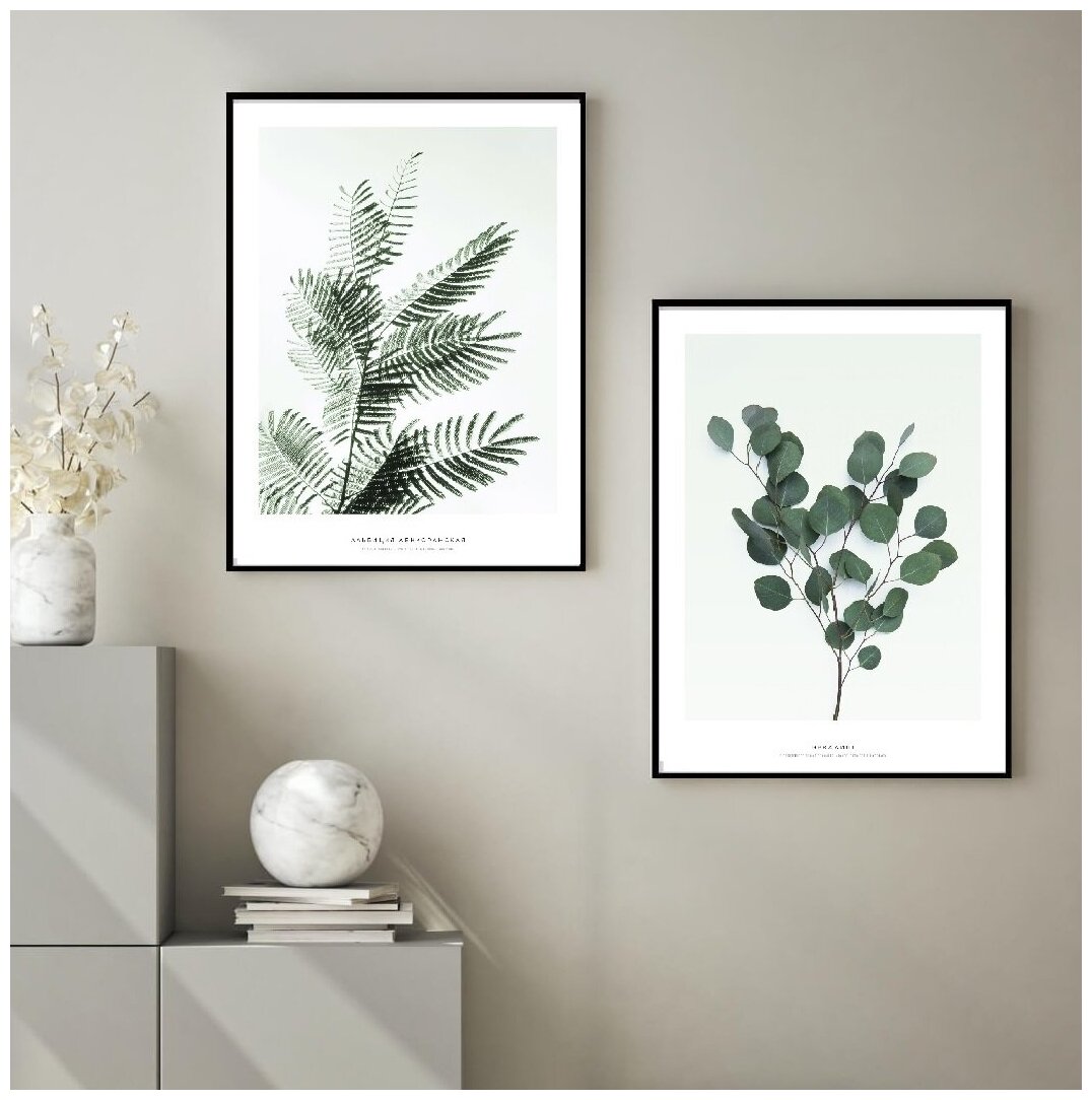 Постер 2 шт 40x50 без рамки "Папоротник, эвкалипт" набор картин для интерьера