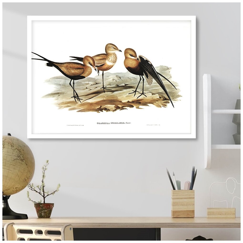 Постер "Птицы иллюстрация" 40x50 в белой рамке на стену для интерьера