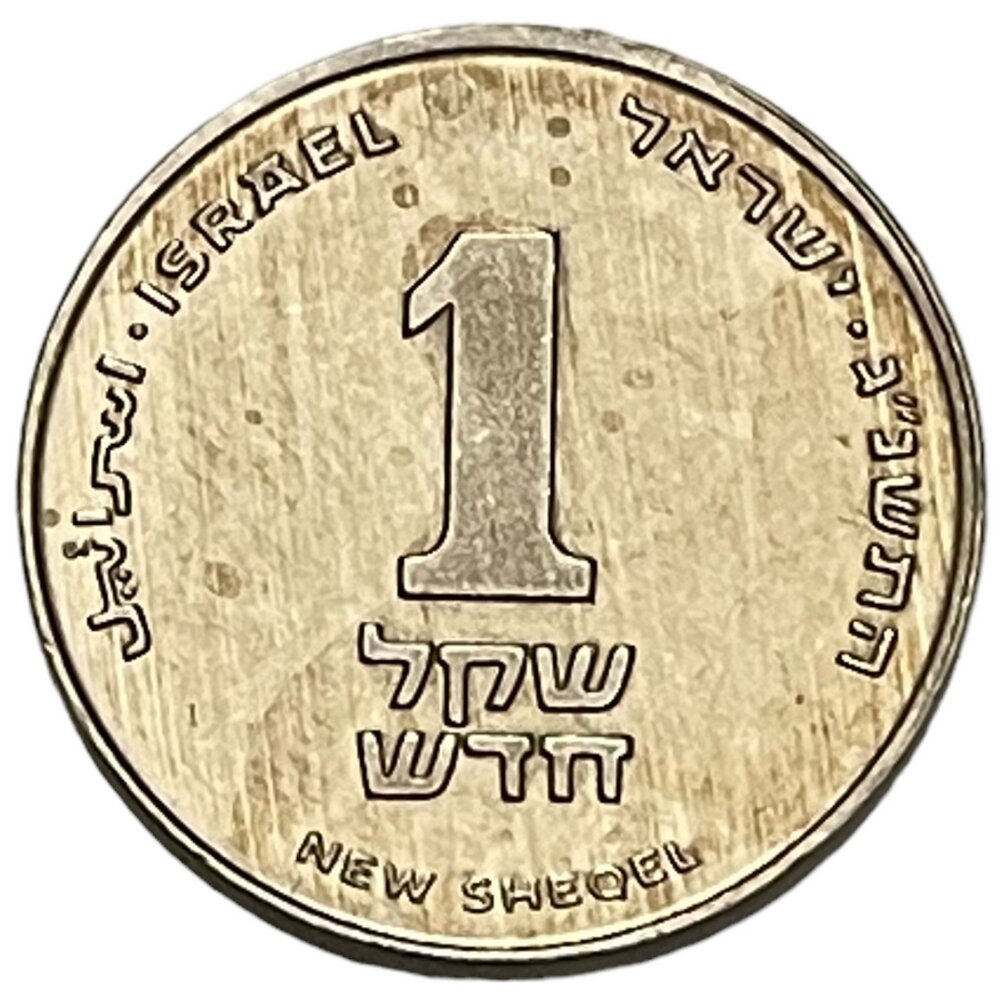 Израиль 1 новый шекель 1993 г. (5753) (3)