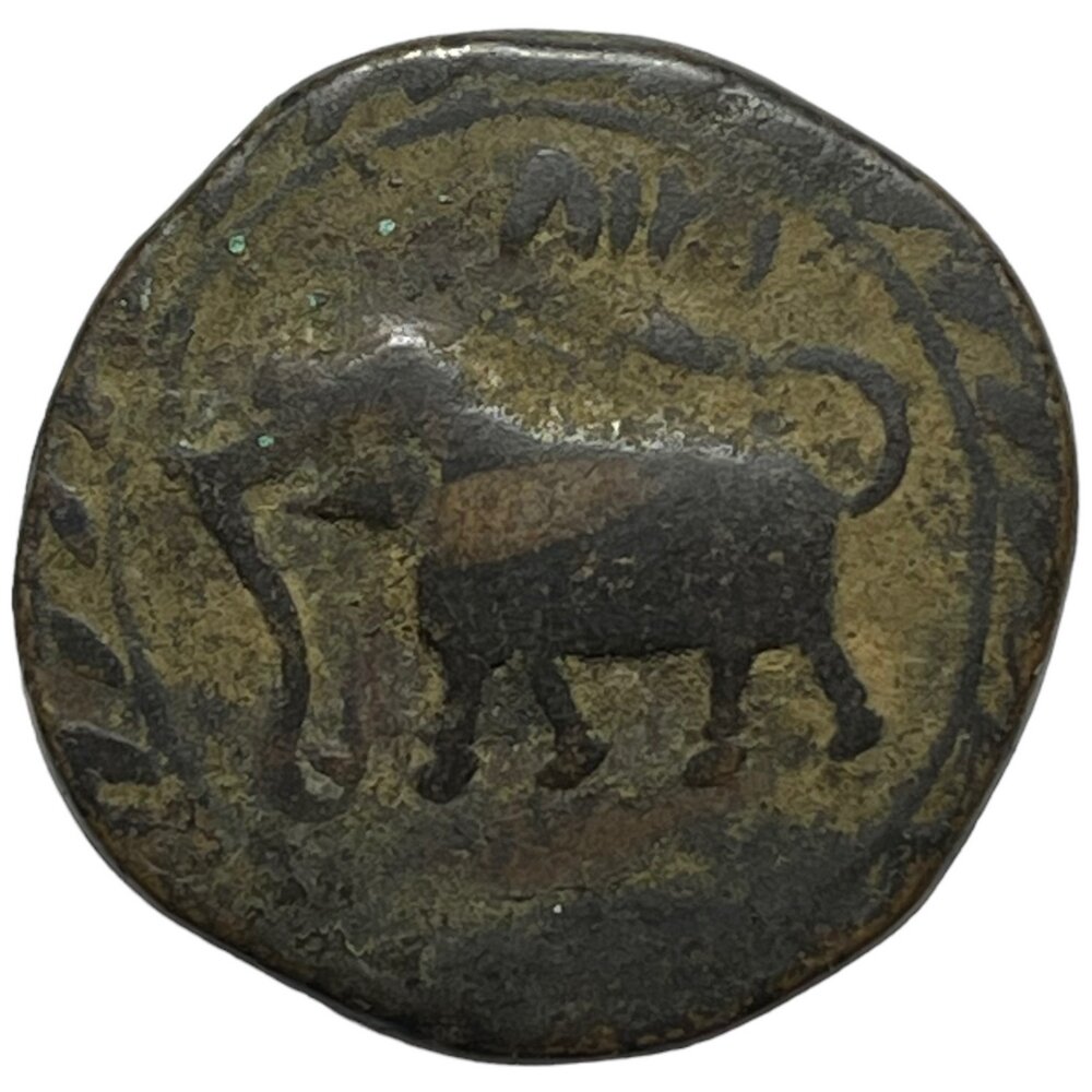 Индия, Майсур 1 пайса 1789 г. (AM 1218) (Фаррухьяб-Хисар) (2)