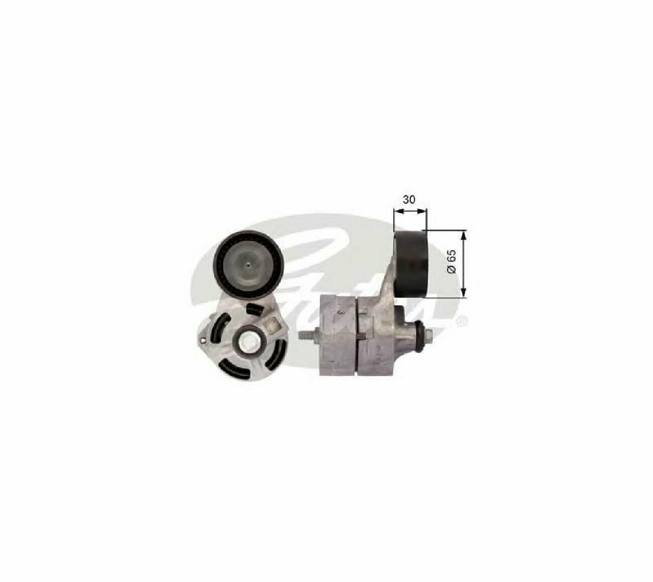 Натяжитель ремня приводного FORD TRANSIT 2.4D/3.2D 06-