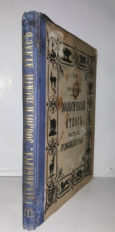 "Рельефный зоологический атлас. Часть третья. Пресмыкающиеся и рыбы.". Гагельберг. 1880 г. Антикварная книга